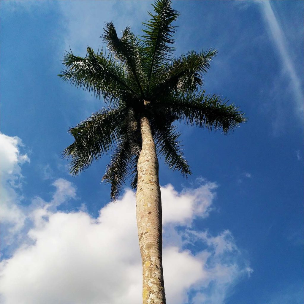 Ciekawostki o Kubie - przyroda - geografia - Kuba dla ciekawych